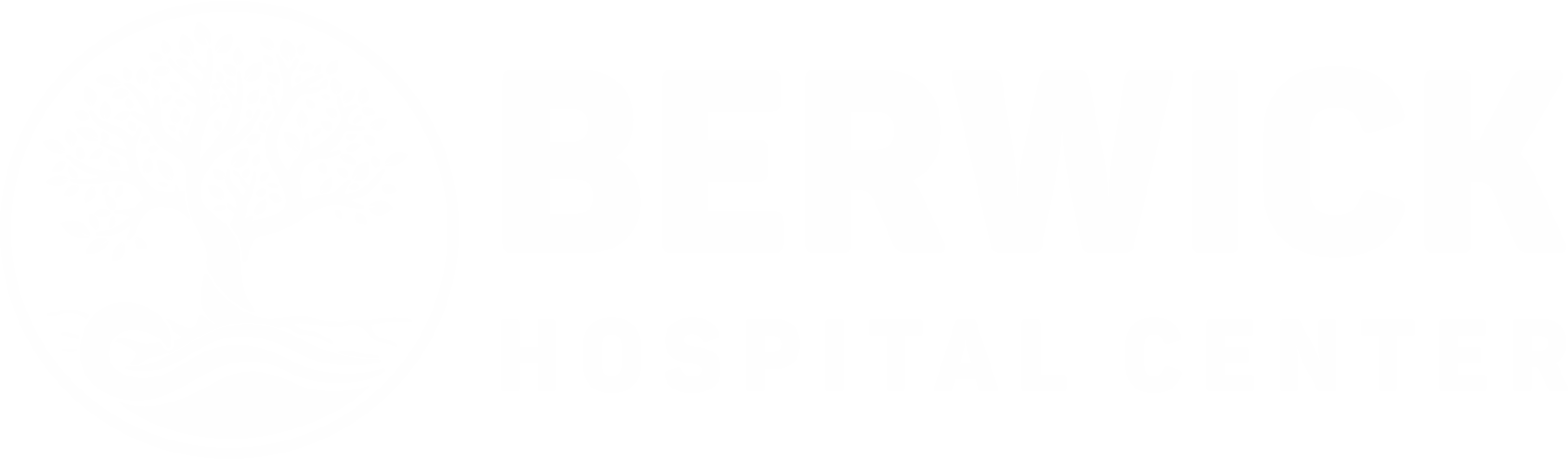 Berwick Hospital Center